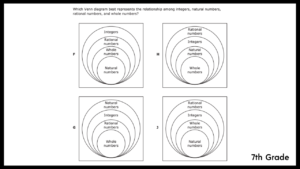 Teaching the Real Number System - Maneuvering the Middle